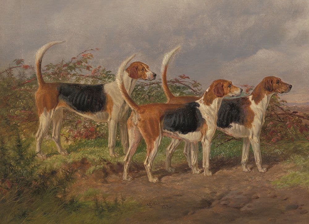 The Rufford Hounds after an original painting by James WAlsham Baldock ...