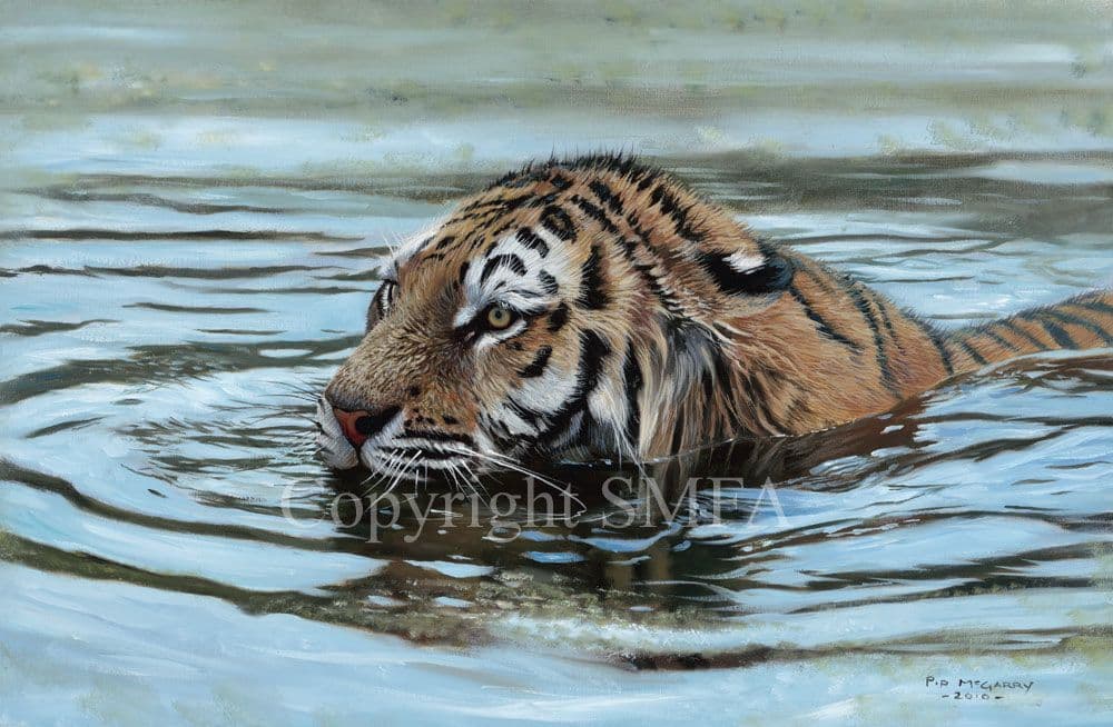 Tiger Limited Edition Print Cooling Off by Pip McGarry