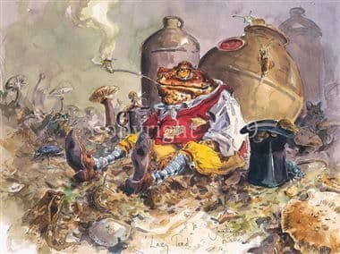 Toad Humorous Limited Edition Print Lazy Toad by Jonathan Walker