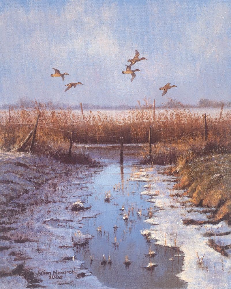Wildfowling Limited Edition Print Following the Fleet by Julian Novorol