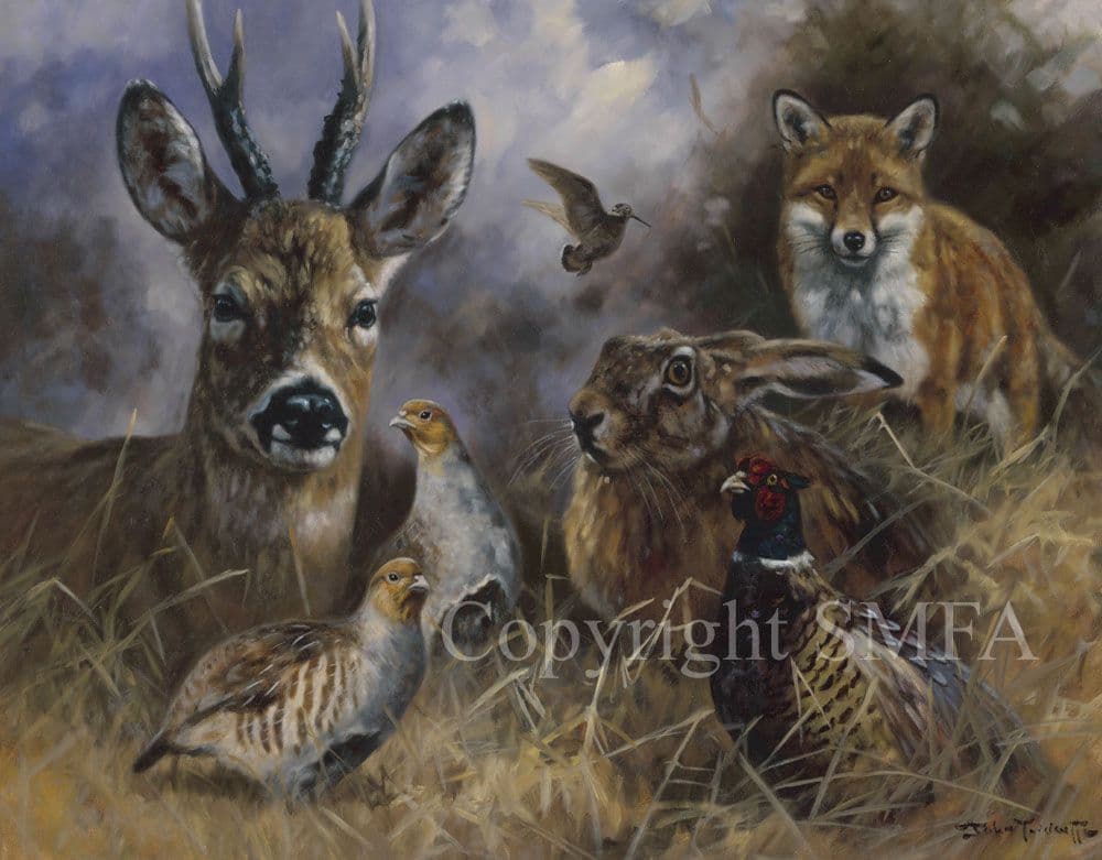 Wildlife Limited Edition Print England Forever by John Trickett