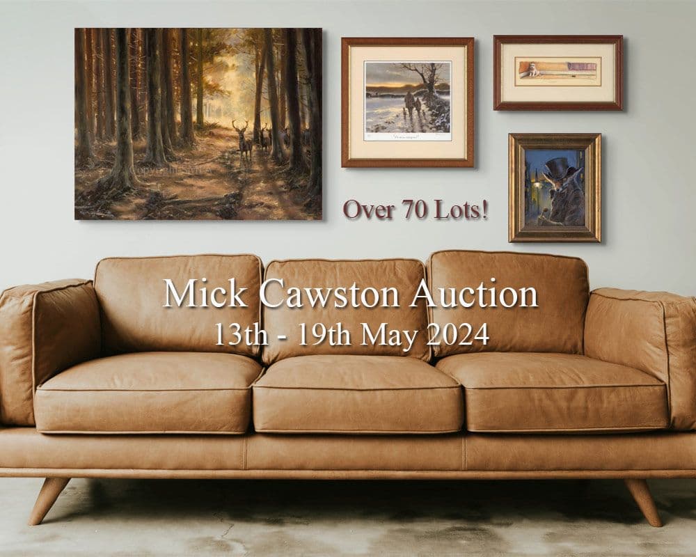 Sally Mitchell, Cards, Christmas Cards, Prints, Original Paintings