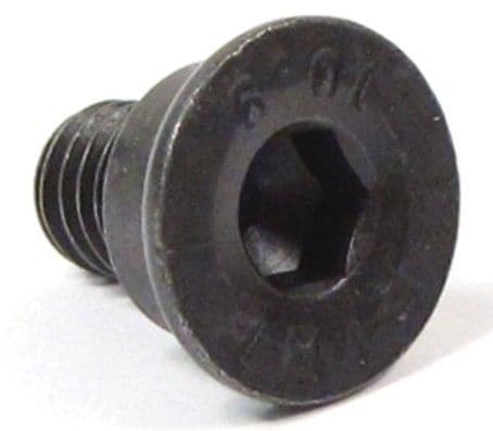 SDG100000LLR Brake Disc Retaining Screw