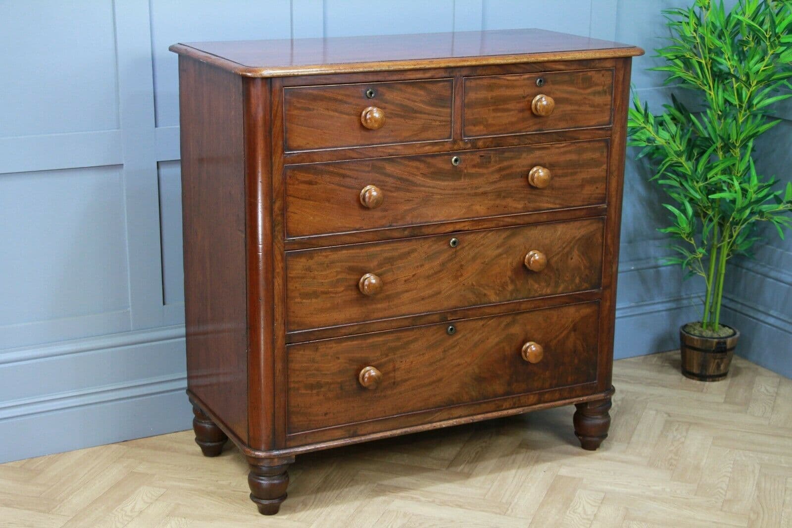 Antique Original Early Victorian Rounded Corner Mahogany Chest of 5 ...