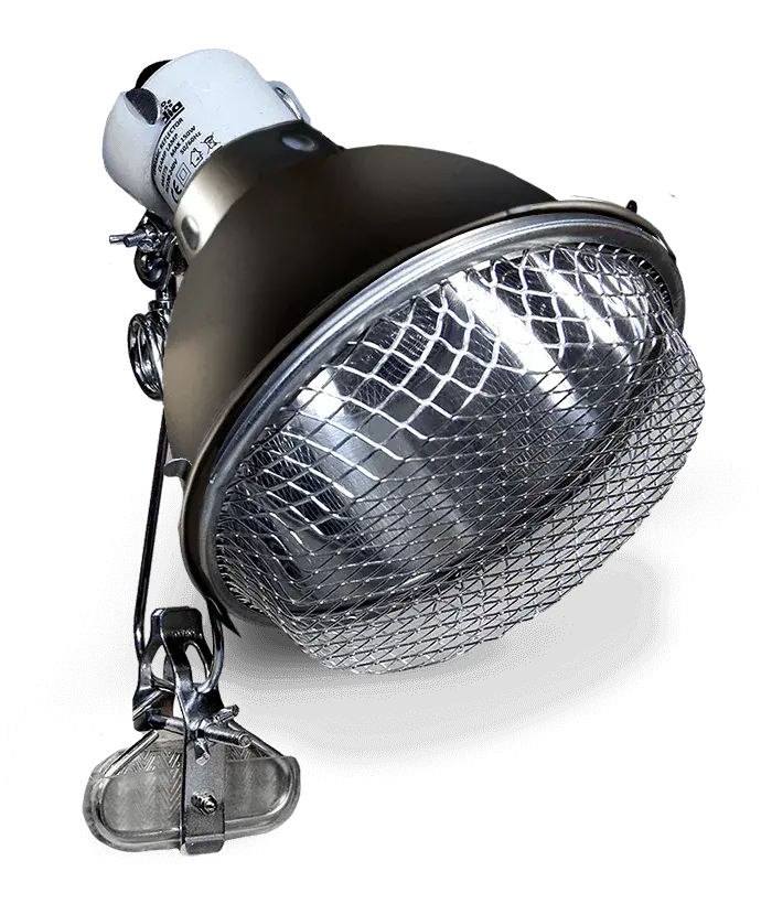 Arcadia Ceramic Clamp Lamp Range