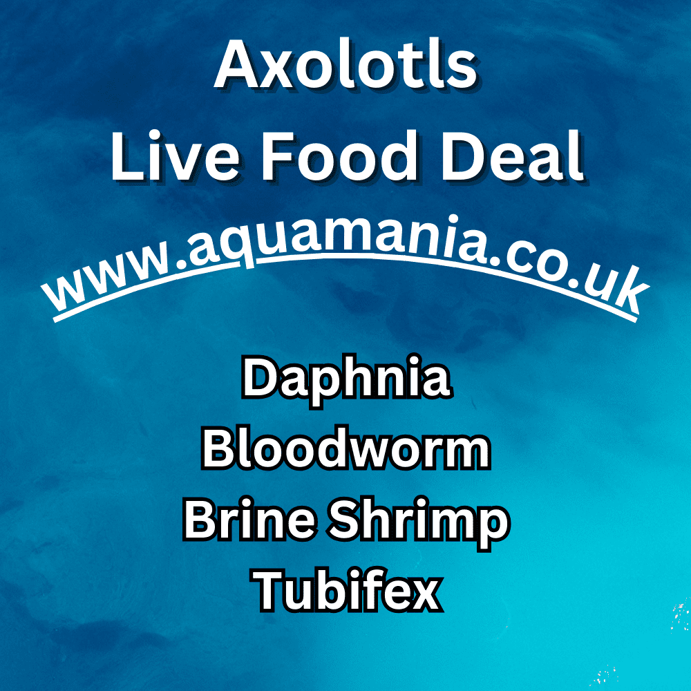 Axolotl and Amphibian Live Foods Mixed Deal