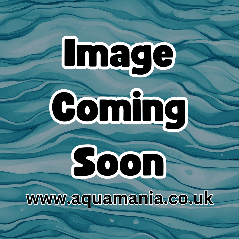 Frozen Small Mice 10-15g - 5pk