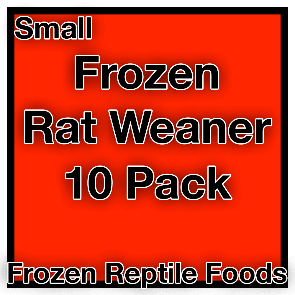 Frozen Small Weaner Rat 26-50g - 10pk