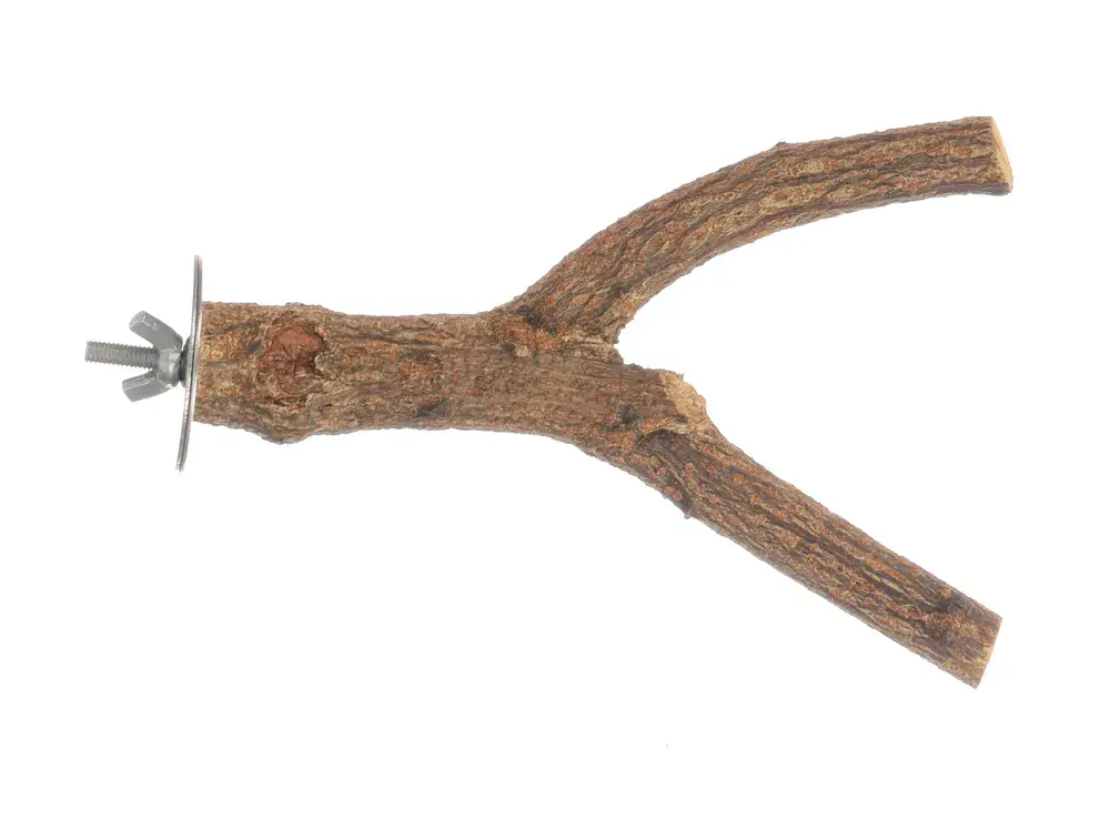 Little Zoo Natural Apple Tree Y Perch Range