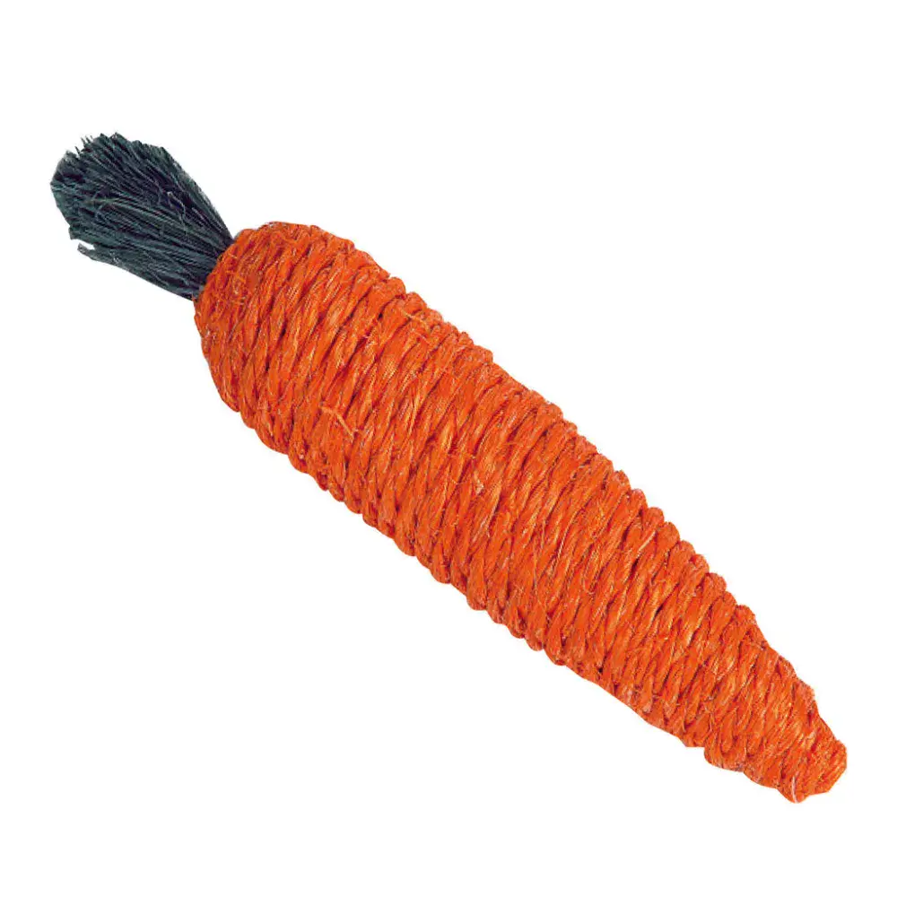 Little Zoo Playful Carrot Chew Toy