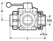 SAFI 2" 5 Way Manual Ball Valve