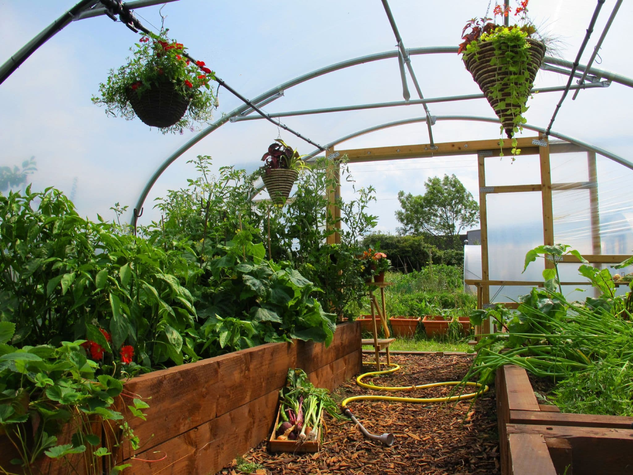 16 x30 Commercial / Garden Polytunnel 4 87m x 9 14m