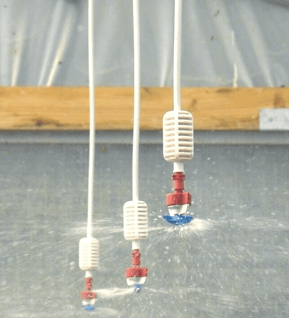 Commercial Irrigation for 28 Wide Polytunnels