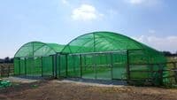Fabricated Net Cover (50% Density) for Polytunnels