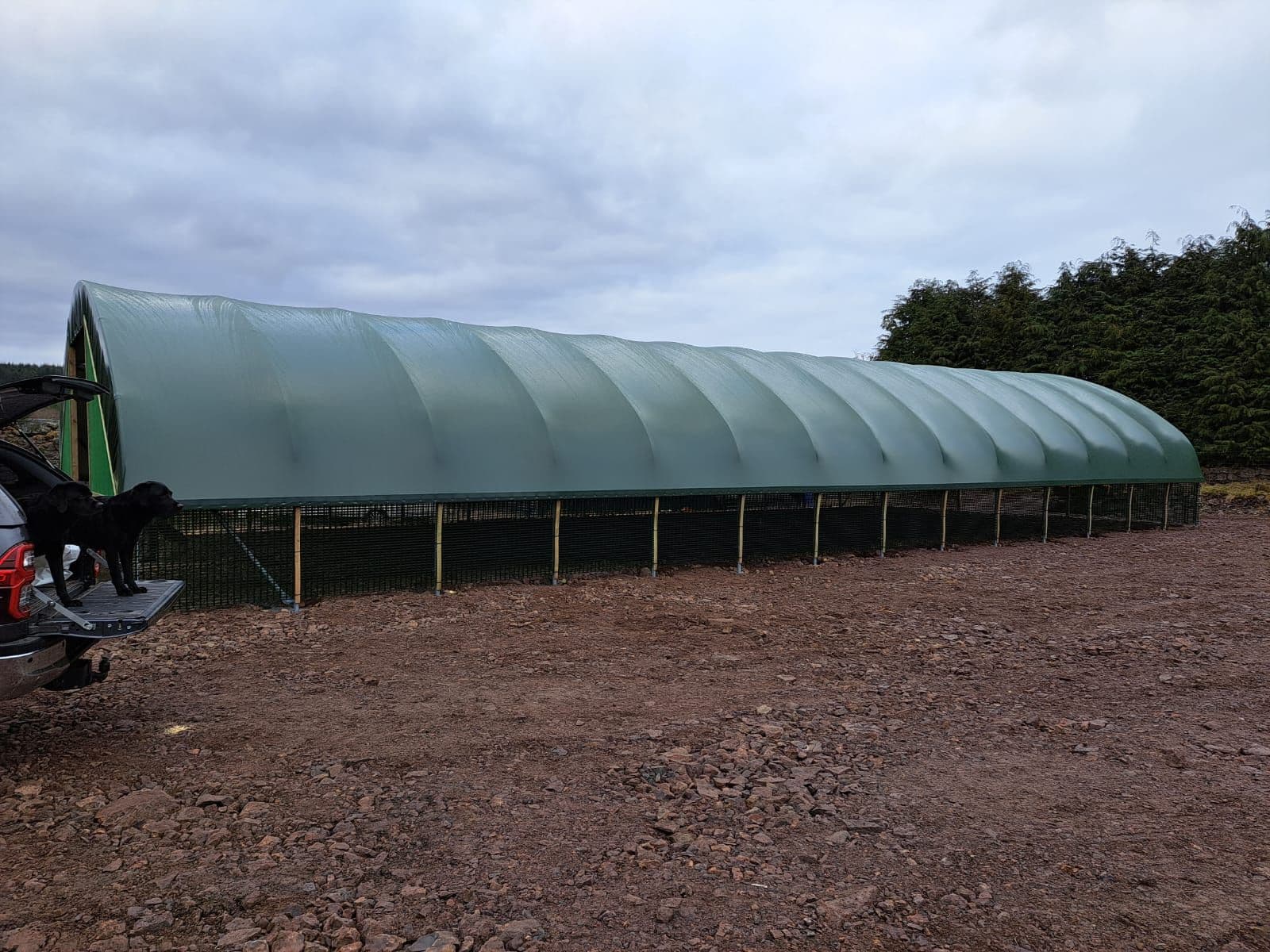 Green and White Polythene 200 Micron