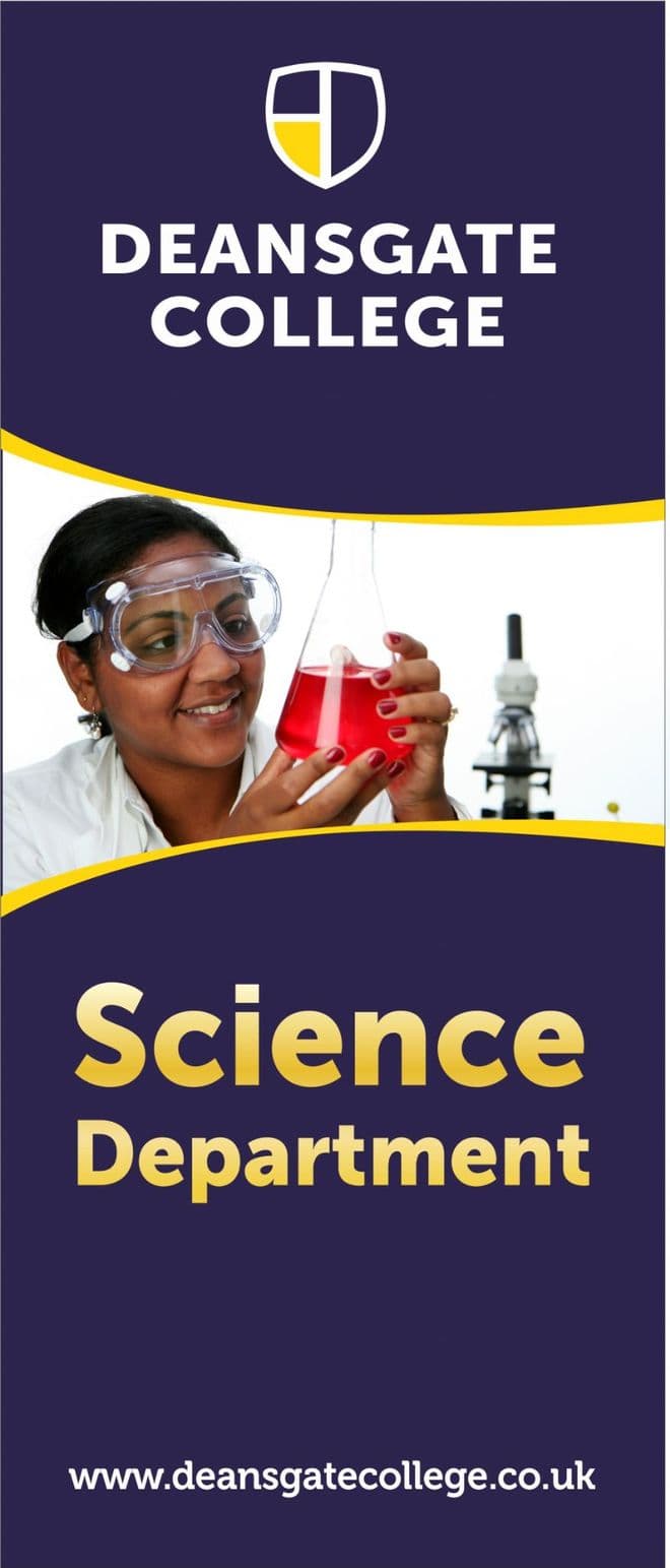 Department Roller Banner Template 8