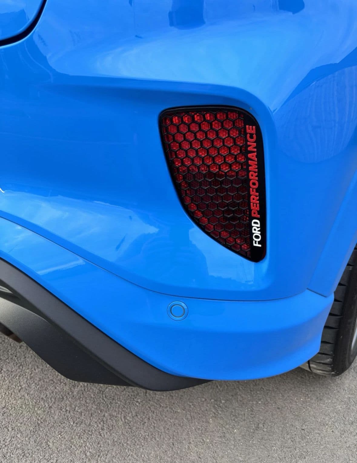 PUMA REAR FOG LIGHT GUARDS