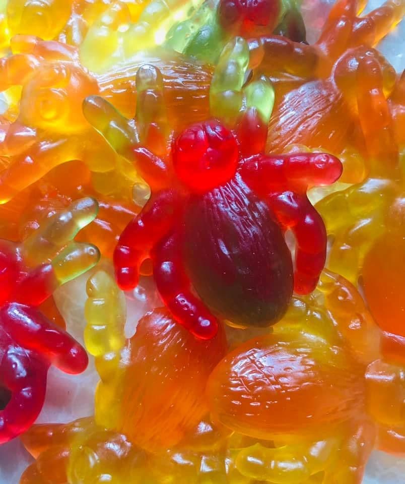 Giant Gummy Spiders
