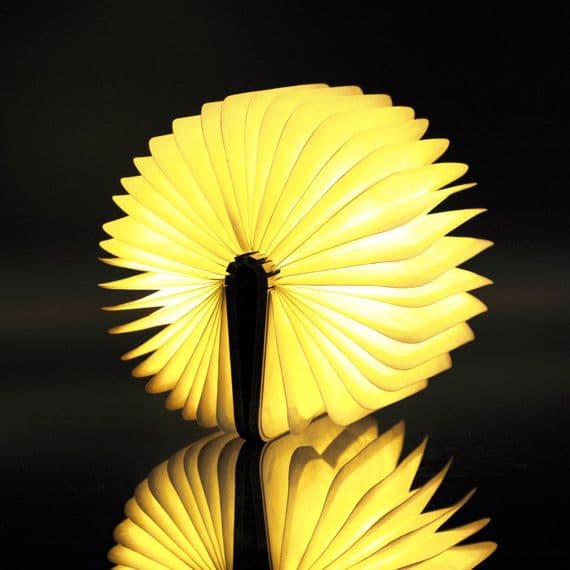 Gingko Design Smart Book Light