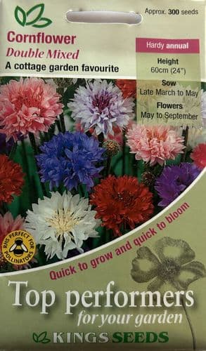 Cornflower Double Mixed