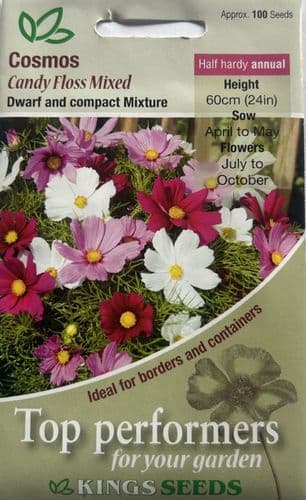 Cosmos Candy Floss Mixed