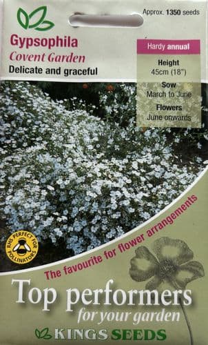 Gypsophila Covent Garden