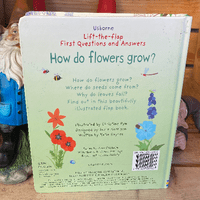 How Do Flowers Grow