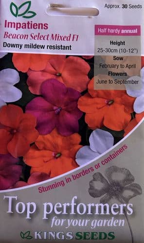 Impatiens Beacon Select Mixed F1