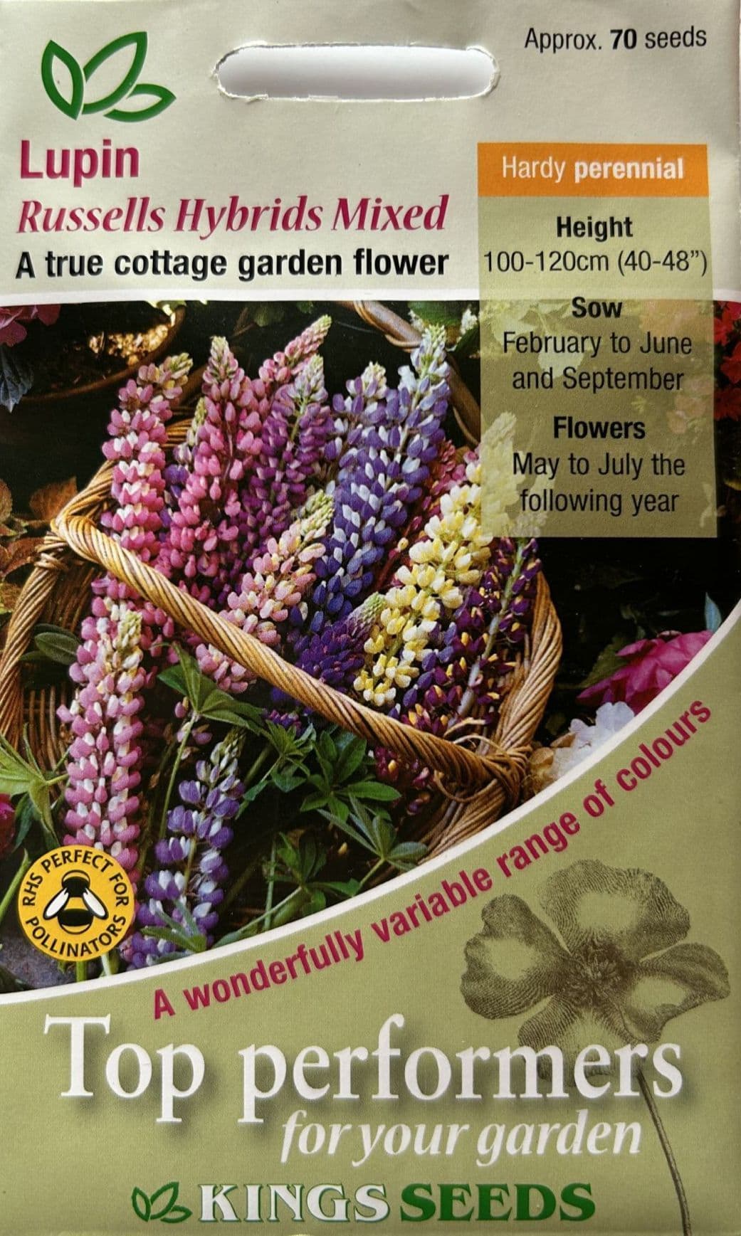 Lupin Russells Hybrids Mixed