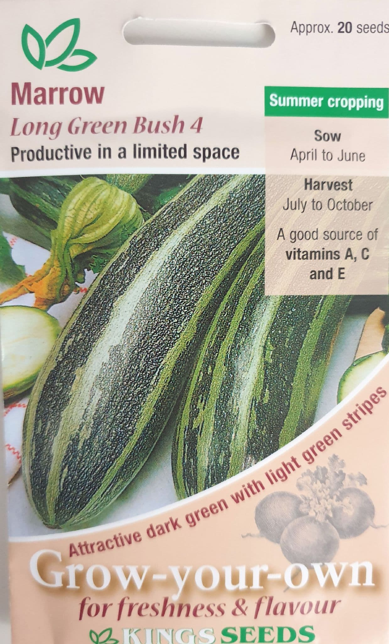 Marrow Long Green Bush 4 F1