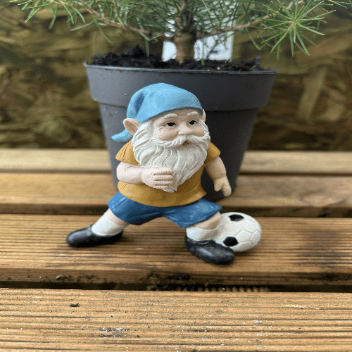 Miniature Football Gnome