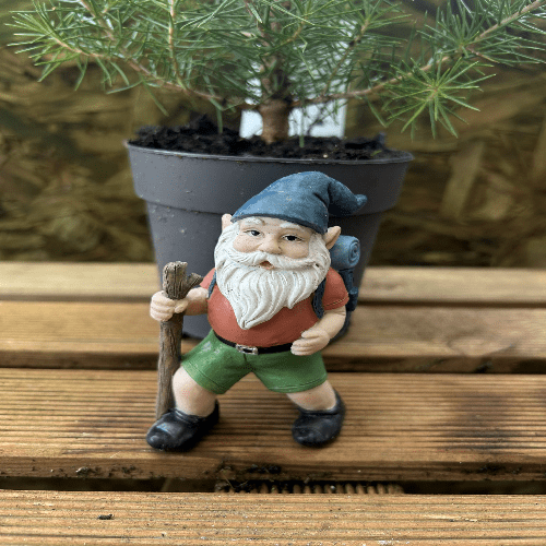 Miniature Hiking Gnome With Stick