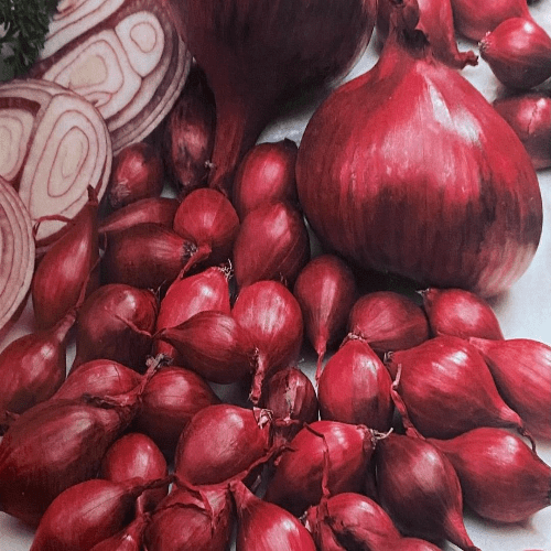 Red Onions Comred