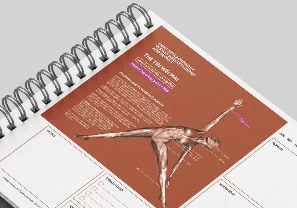 TCM undated weekly planner