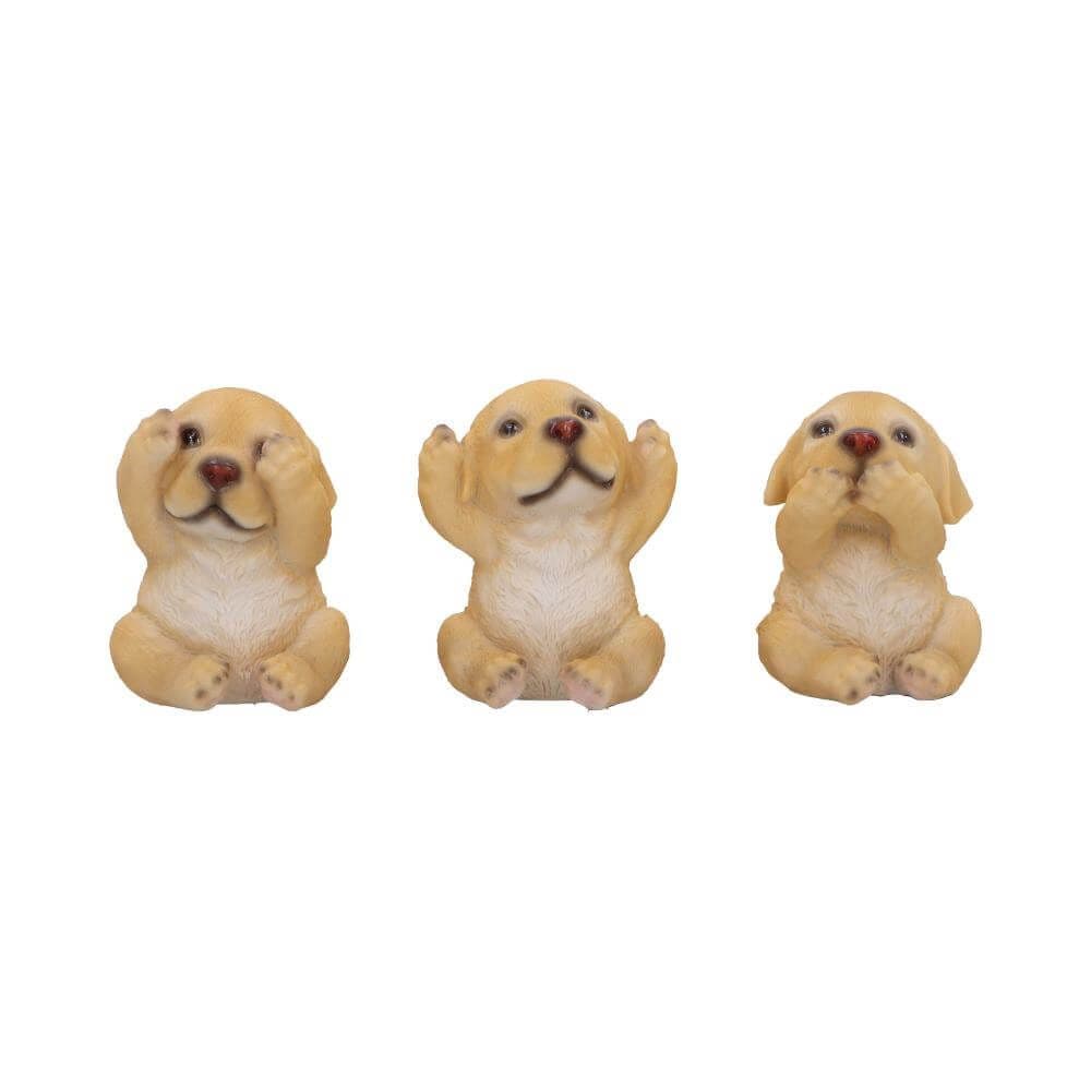 Three Wise Golden Labrador Dogs Ornaments | Nemesis Now Shop Deal Kent