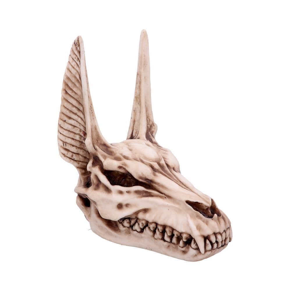 Anubis Egyptian God Of Death Skull | Nemesis Now Skull Ornament Dover ...