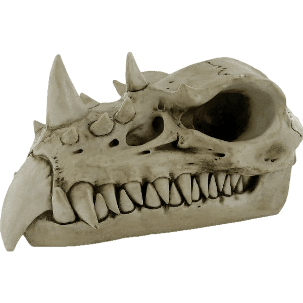 Bone Coloured Dragon Skull Ornament | Bonnebombe