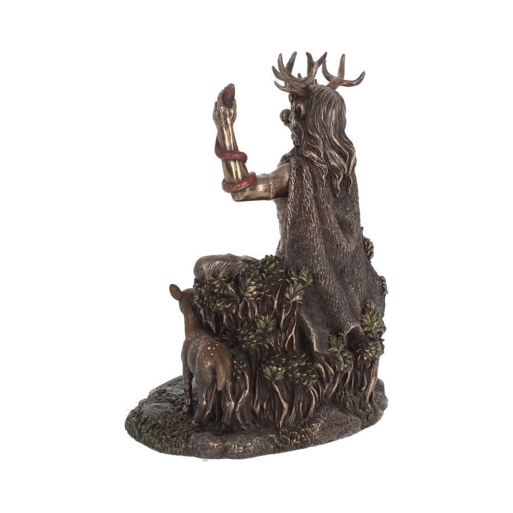 Cernunnos Celtic Horned God Of The Forest And Animals