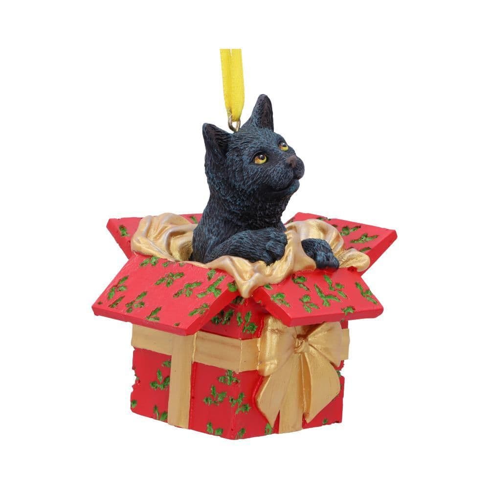 Christmas Present Cat Hanging Ornament