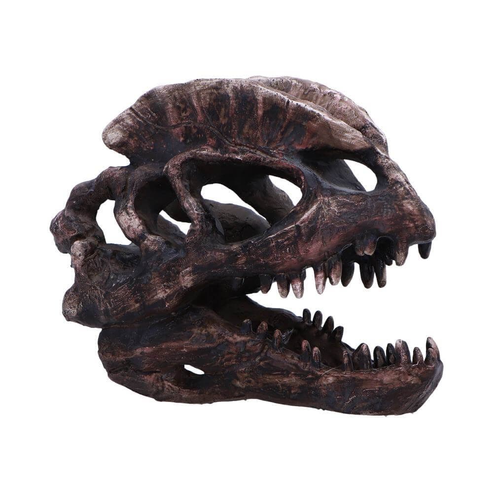 Dilophosaurus Two Crested Lizard Dinosaur Skull | Nemesis Now Skull ...