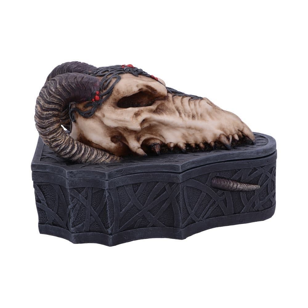 Dragon Skeleton Skull Storage Box | Nemesis Now Dragons Whitfield Kent UK