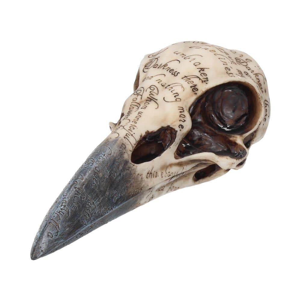 Edgar Allan Poe Raven Skull Sculpture | Nemesis Now Skull Ornament ...