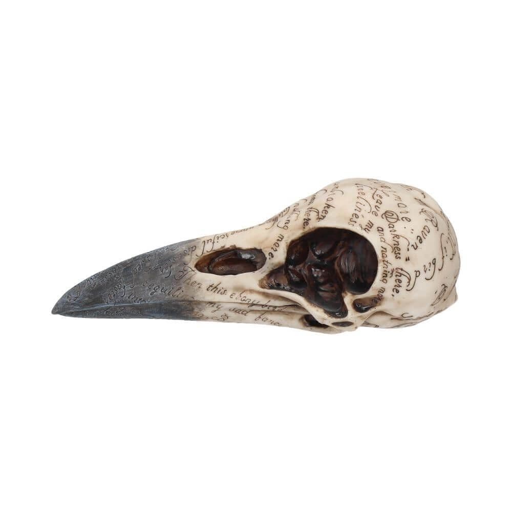 Edgar Allan Poe Raven Skull Sculpture | Nemesis Now Skull Ornament ...