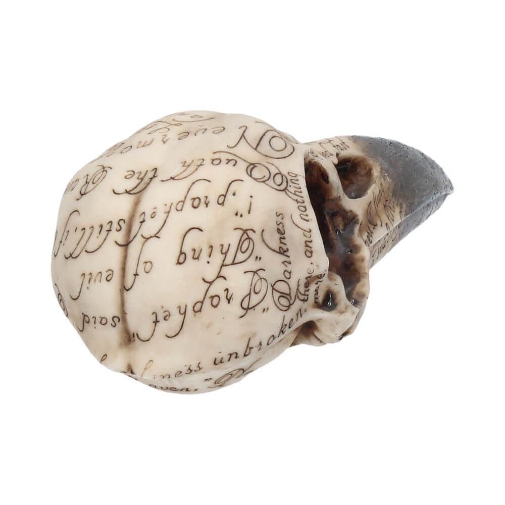Edgar Allan Poe Raven Skull Sculpture | Nemesis Now Skull Ornament ...