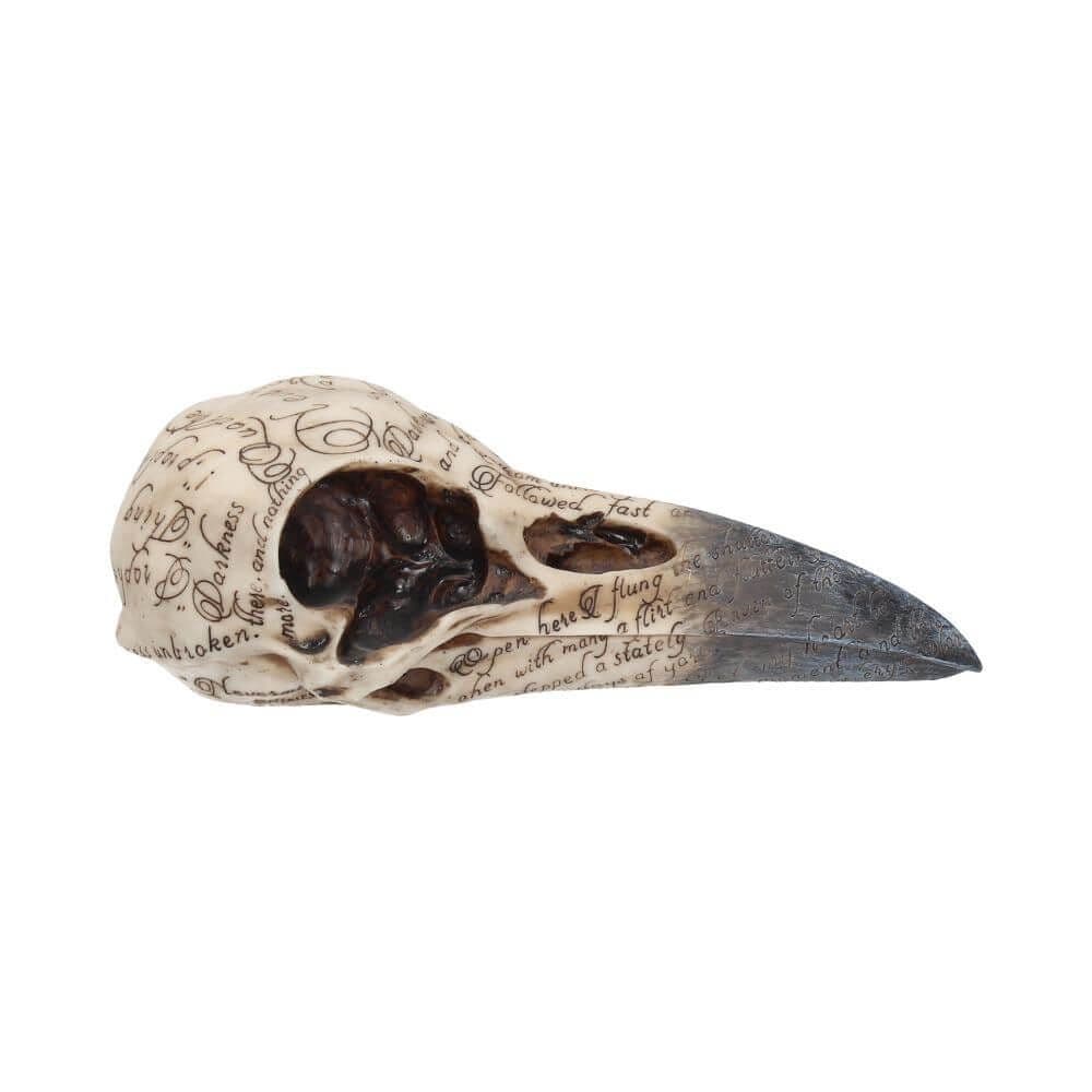 Edgar Allan Poe Raven Skull Sculpture | Nemesis Now Skull Ornament ...
