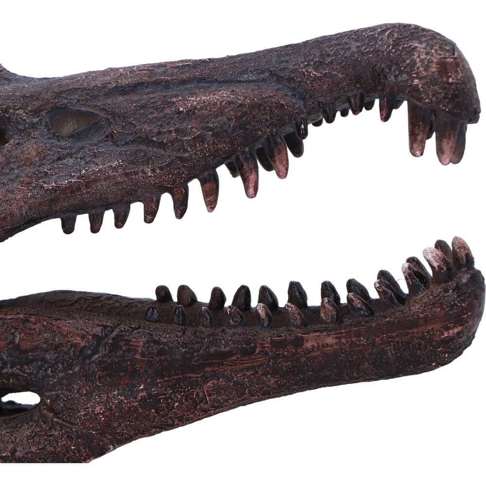 Spinosaurus Egyptian Spine Lizard Dinosaur Skull | Nemesis Now Skull ...