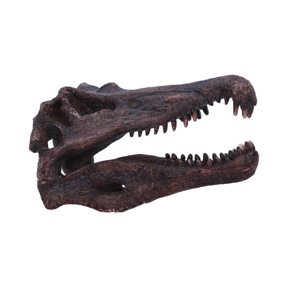 Spinosaurus Spine Spinosaurus | Spinosaurus (meaning "spine