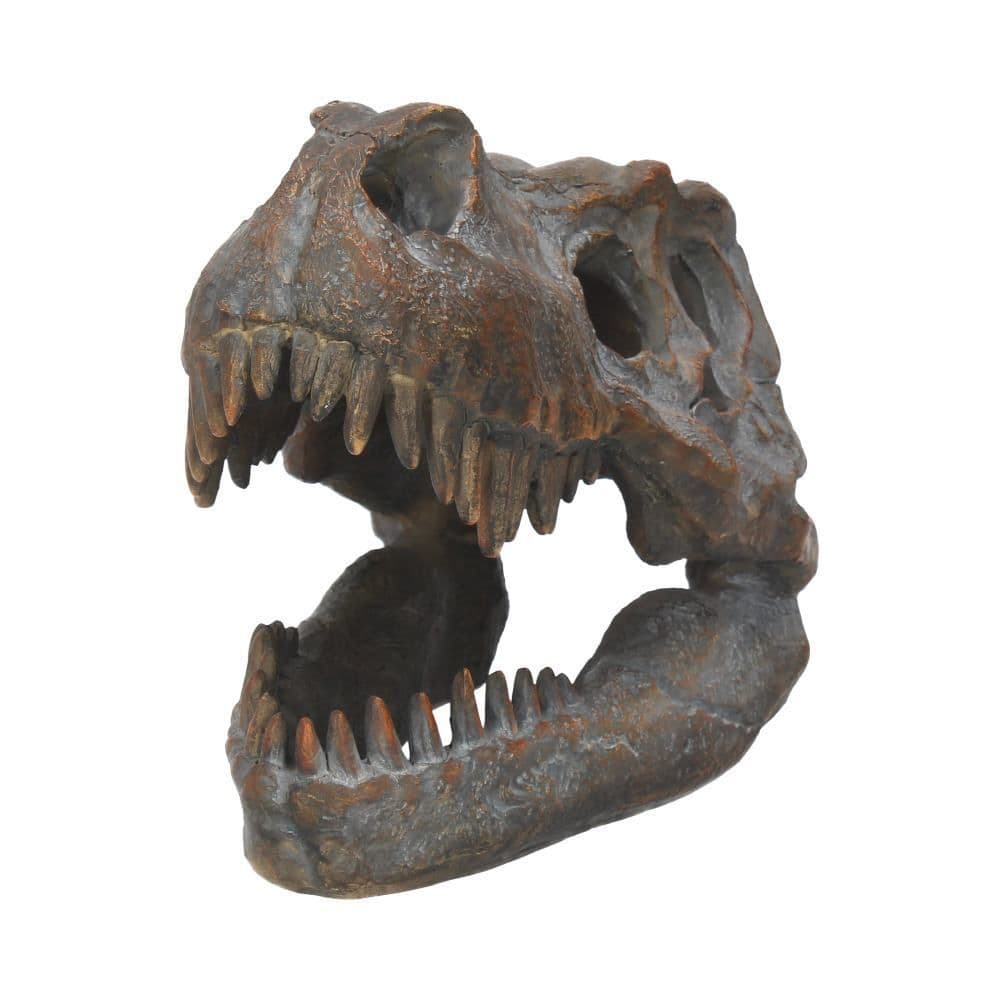 Tyrannosaurus Rex Dinosaur Skull Freestanding | Nemesis Now Skull ...