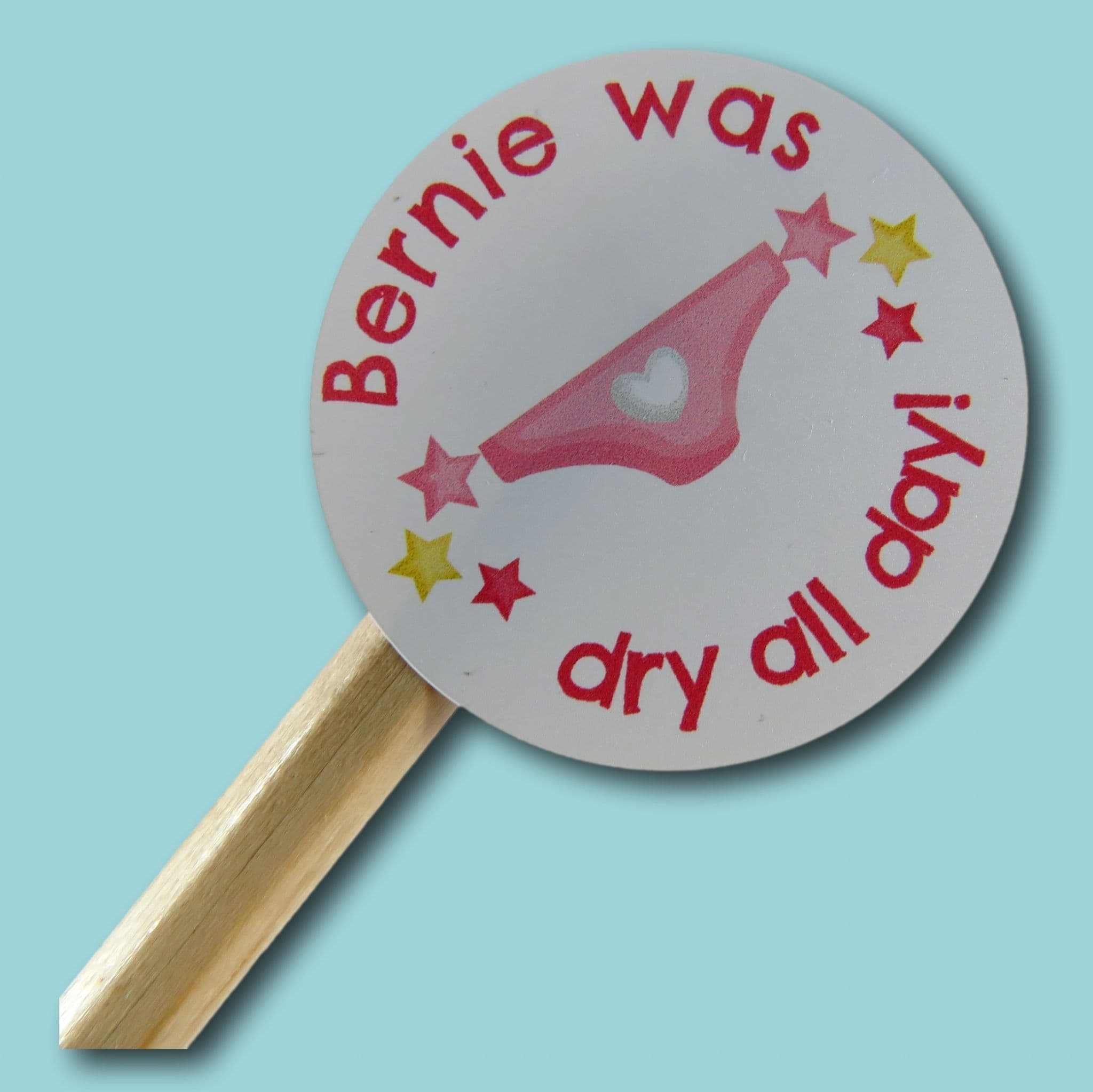 Dry all day stickers potty training stickers Toilet Training Stickers ...