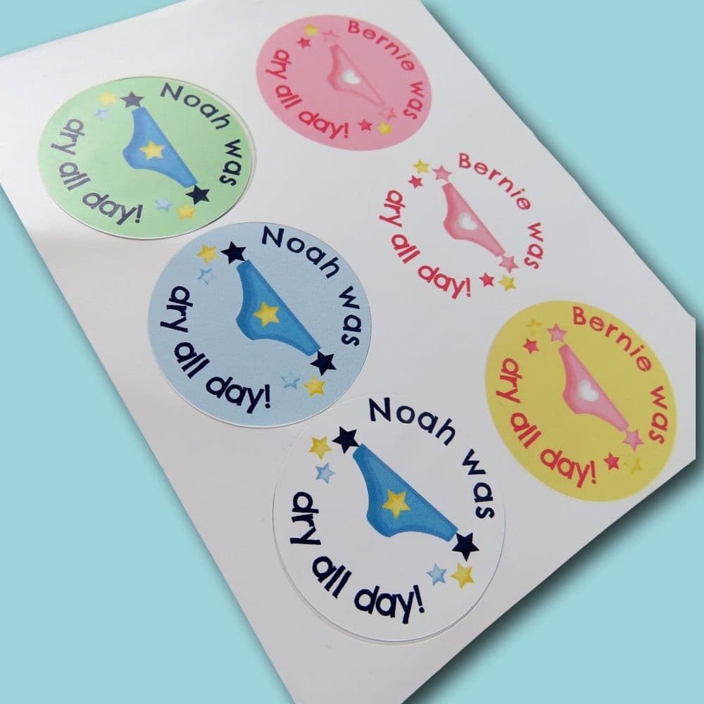 Dry all day stickers potty training stickers Toilet Training Stickers ...